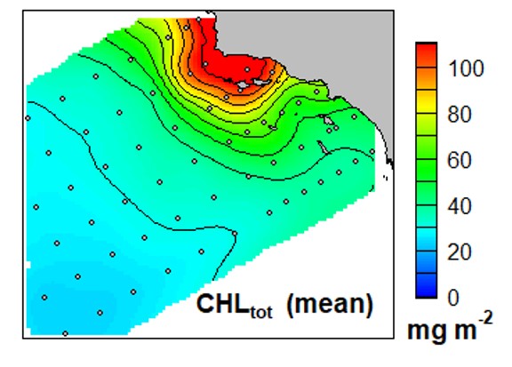 Nikolay P. Nezlin - oceanographer, data scientist, programmer