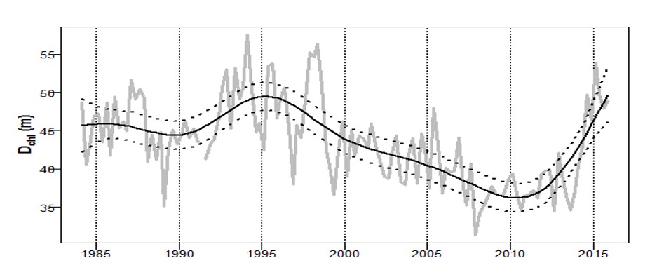 Nikolay P. Nezlin - oceanographer, data scientist, programmer