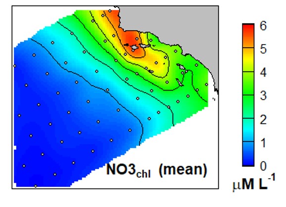 Nikolay P. Nezlin - oceanographer, data scientist, programmer