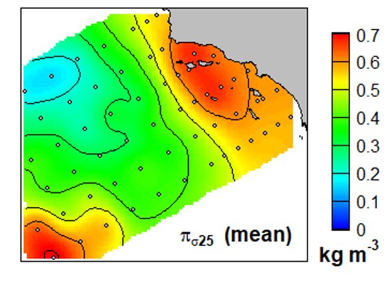 Nikolay P. Nezlin - oceanographer, data scientist, programmer